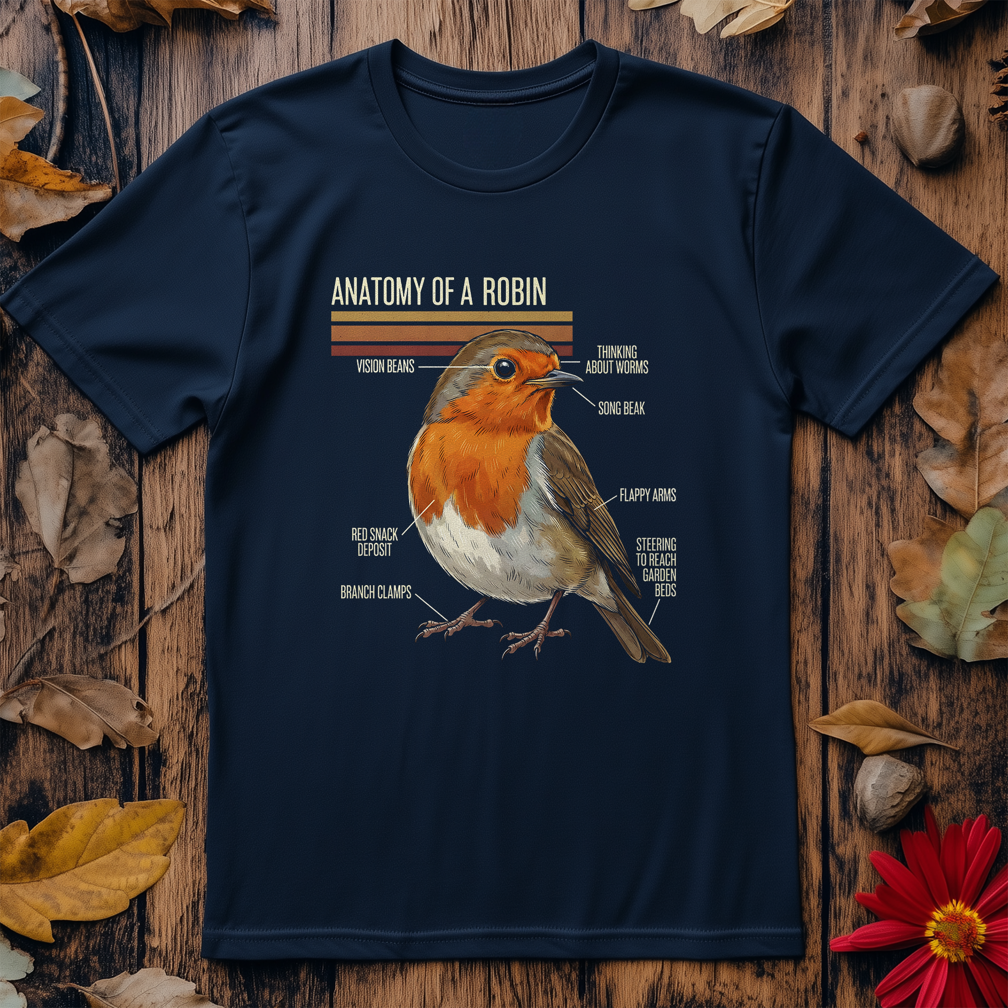 Robin Anatomy T shirt – FeatherFound